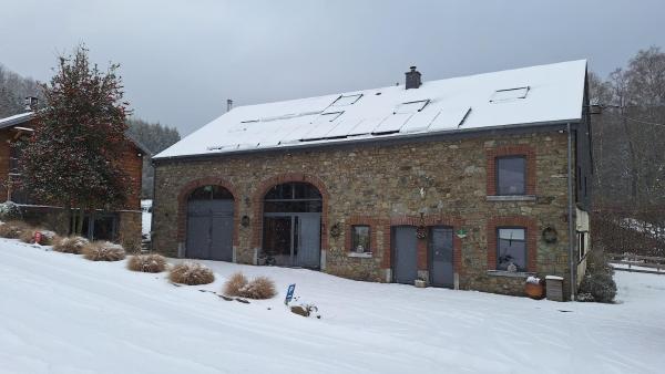 Le Clos Du Cerf - Le Sous-bois - Stavelot