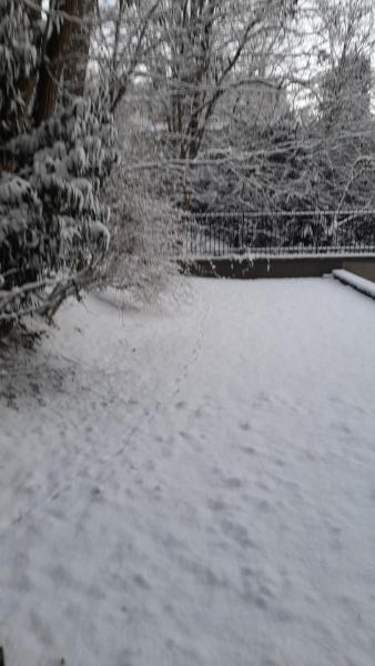 Grande Chambre En Appartement - Vincennes