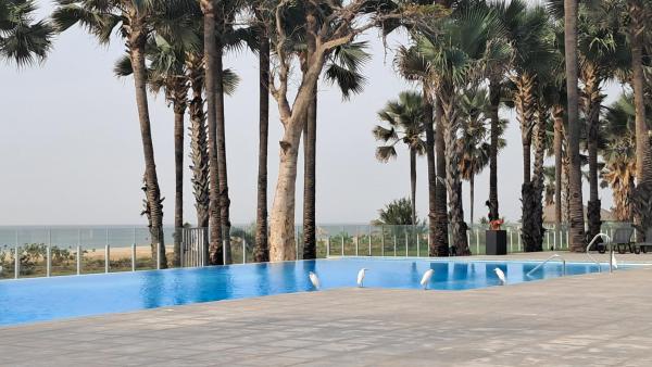 Apartment On The Bijilo Beach With Large Pool - Gambie