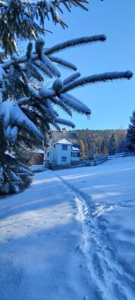 Ferienhaus Rosemarie Erlbach Vogtland - Klingenthal