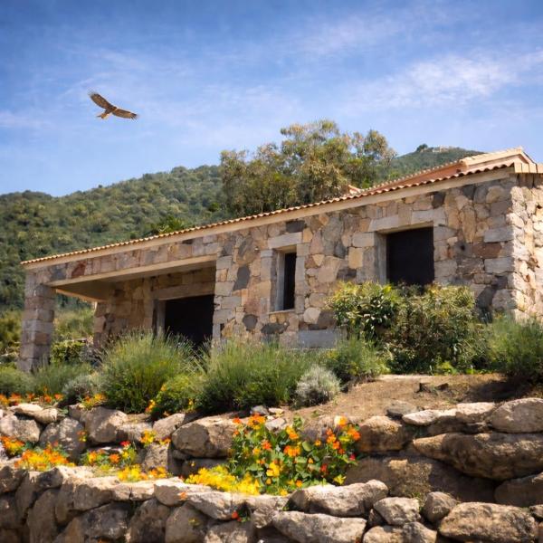 Charmante Maison De Village *** - Corsica