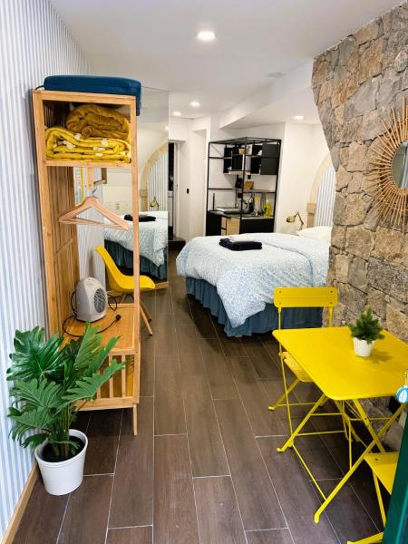 Art Apartments Leiria Historic House - Leiria