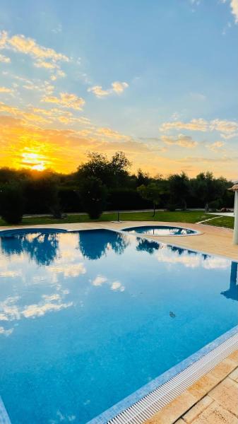 Olive Villa - Silves