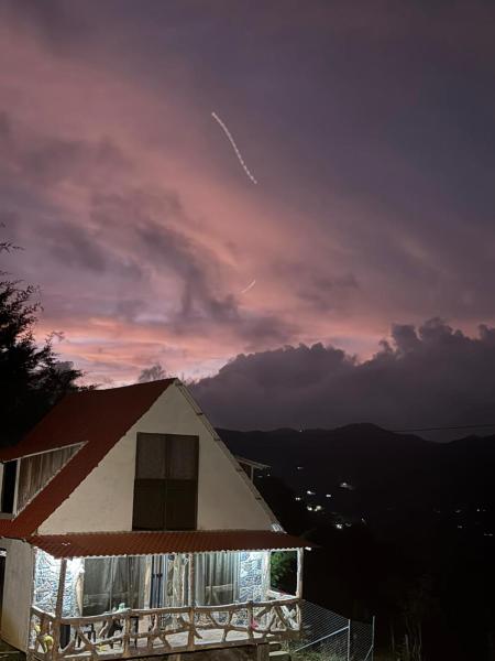 Entre Pinos - Peñol