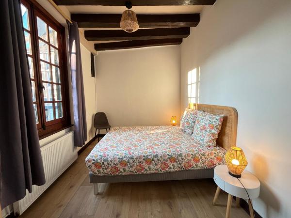 Le Doré - Vieux Mans Cité Plantagenêt - 4 Pers - Le Mans