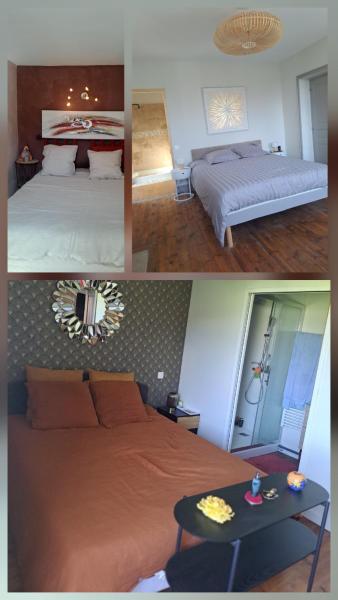 Chambre Avec Salle De Bain Privative - Murol