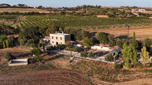 Agriturismo Le Due Querce - Tarquinia