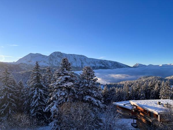 Melezes A - Chamrousse