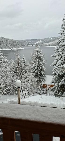 Vila Nature And Luxury - Beliș