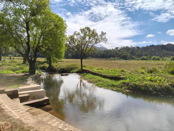 Hidden Roots Sakleshpur - Sakleshpura