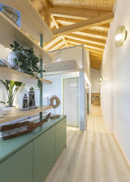 Lobo Do Mar - Viana do Castelo