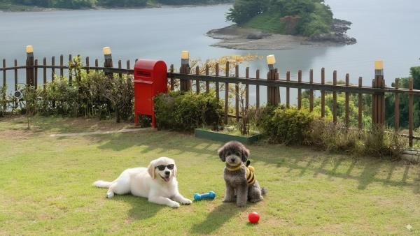 Yeosu Greenhouse Pension - South Korea