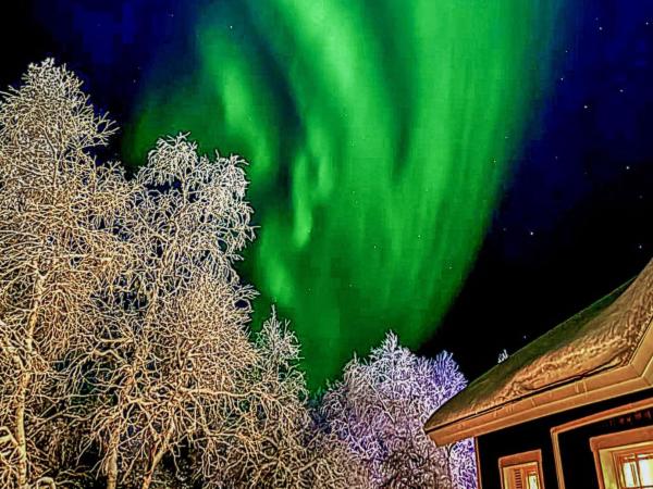 Holiday Home Tunturikuksa By Interhome - Lappland