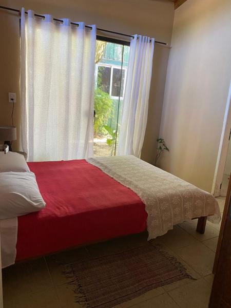 Arte Natureza - Florianópolis