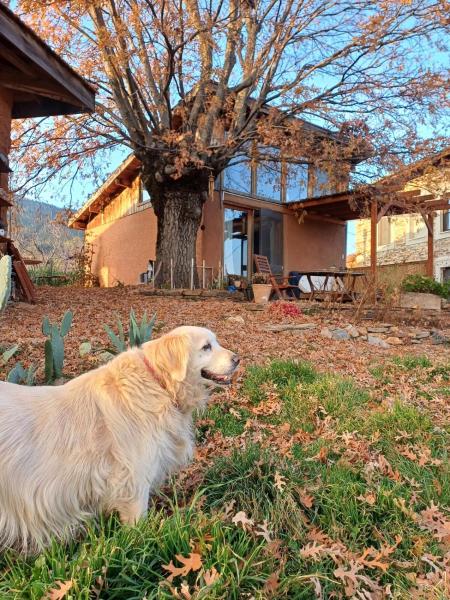 Marmaric Guesthouse - Manisa