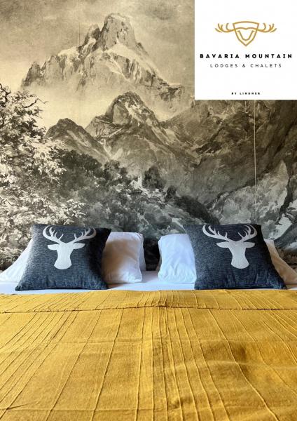 Ski Chalet Designer Ferienwohnung Arber Terrasse Pool Garten Bayrischer Wald Lodges Mit Hund - Allemagne