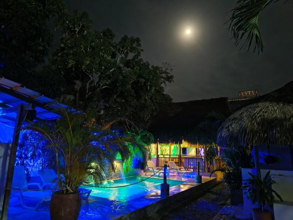 El Leon Feliz Palomino - Colombia