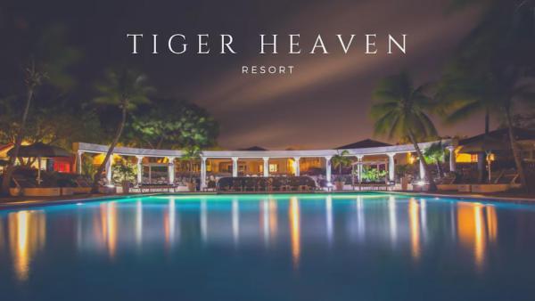 Tiger Heaven Resort - Bandhavgarh National Park