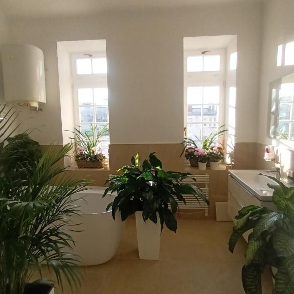 Rooms In Maribor Centre - Maribor