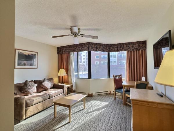 Pet Friendly Suite With Pool Hot Tub Ski In-out - Crested Butte, CO