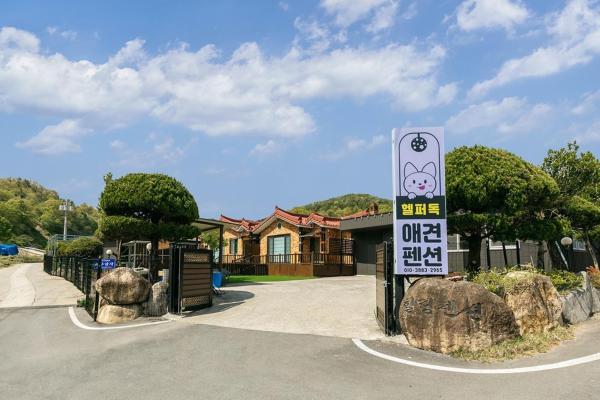 Gyeongju Helper Dog Pet Pension - Gyeongju-si