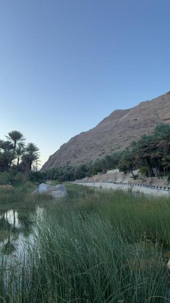 Wadi Hawer Privet Tour Guiding And Local Farms Visiting - Oman