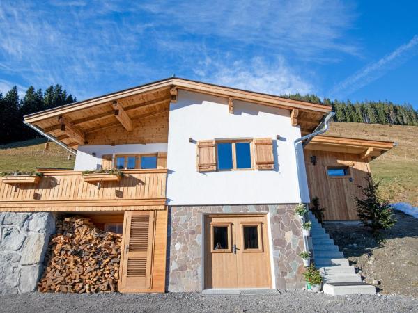Cabin With Sauna Near Spieljoch Ski - Alpbach