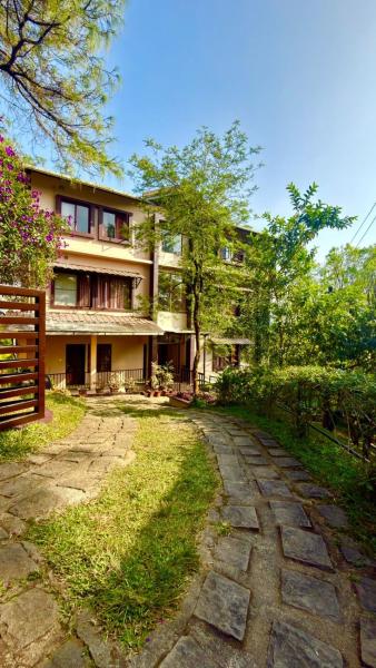 Teadale By Dcompany - Vagamon