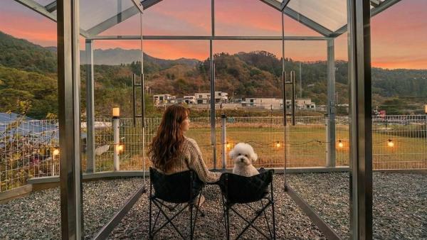 Gapyeong Ddobagi Pet & Spa Glamping - Dél-Korea