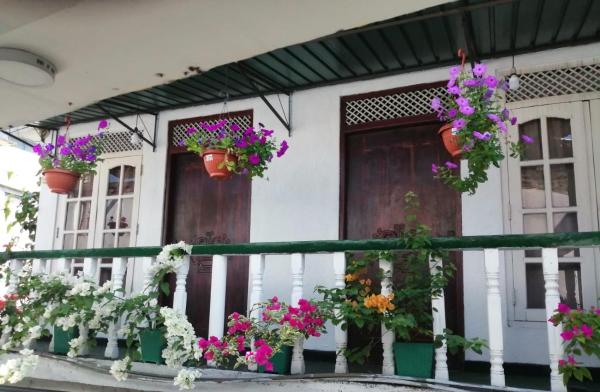 Blessnest Homestay Kandy - Kandy