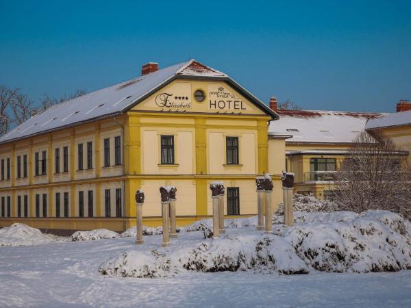 Elizabeth Hotel - Arad