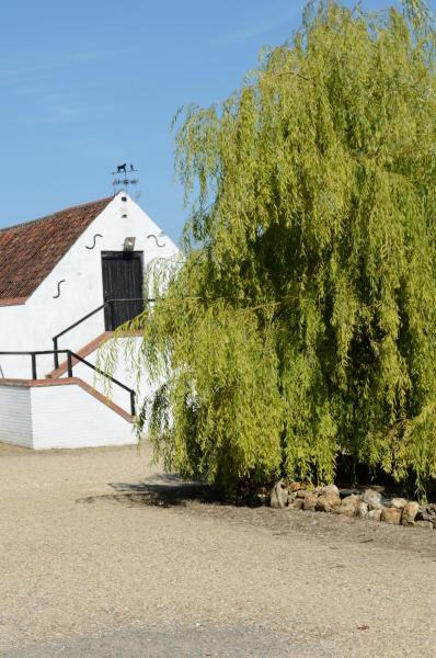 Willow Tree Farm - Cambridgeshire