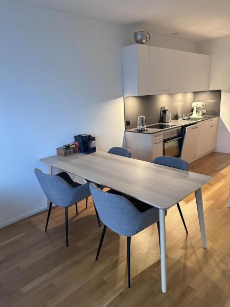 Modernes Apartment In Basel - Basel