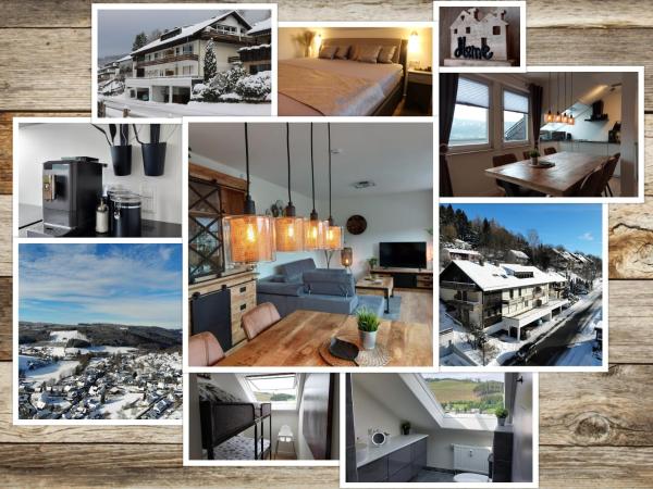 Ferienwohnung Südhang - Winterberg