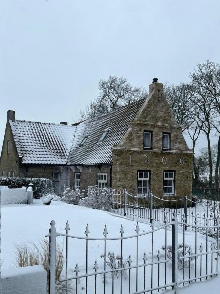 Ut âNker Fan De Jong - Nes