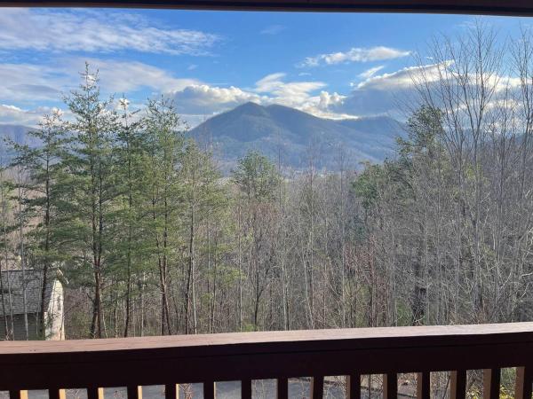Blushing Bear Stunning Views - Wears Valley, TN