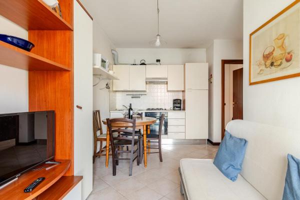 Cremona Stadium & Culture - Cremona