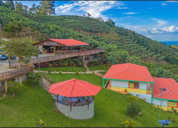 Don Joaquín - Buenavista