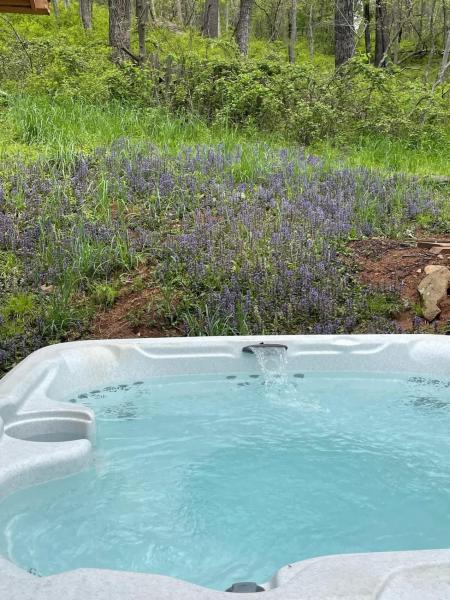 Cozy Cabin Escape Hot Tub & Lake Access - Front Royal, VA