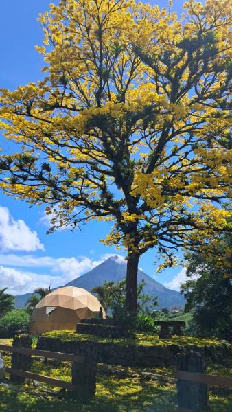 Pura Vista Glamping - Costa Rica