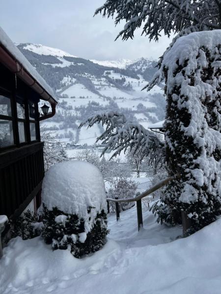 Patzberg Liesl - Goldegg