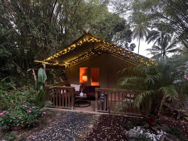 Jardin Al Bosque-glamping - Porto Rico