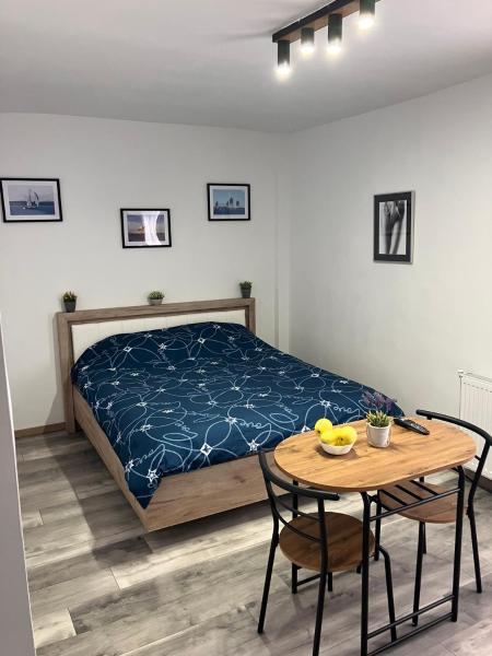 Garsoniera Goldis - Arad