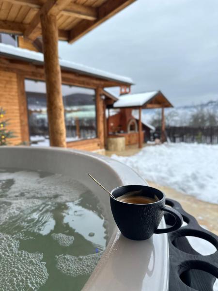 Bison Cabin - Bughea de Jos