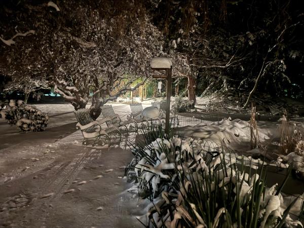 Harzhotel Warnstedter Krug - Thale