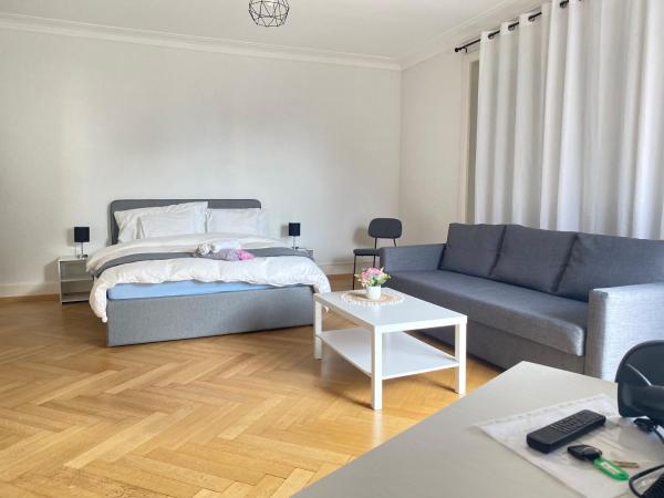 Bright & Fully Furnished Flat In Lausanne - Lausanne