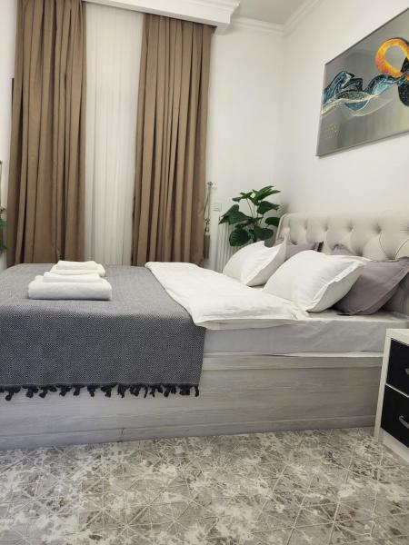 Large Cozy Apartment In The Center Of Tashkent - Tashkent