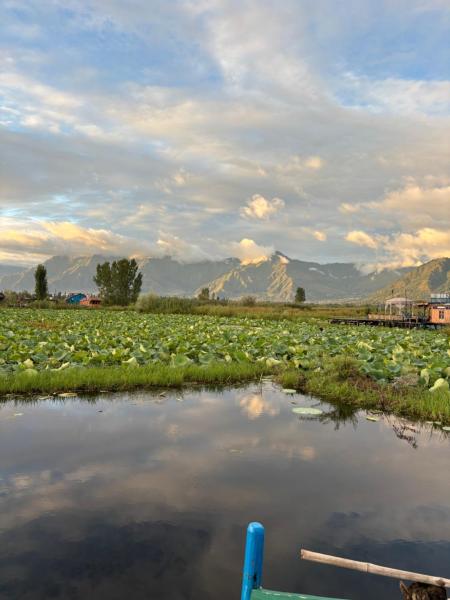 Houseboat Jupiter - Srinagar