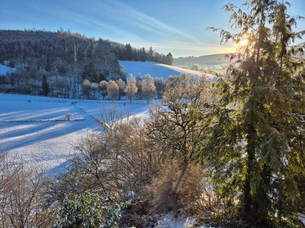 Fewo Schmallenberger Mauerblümchen - Schmallenberg