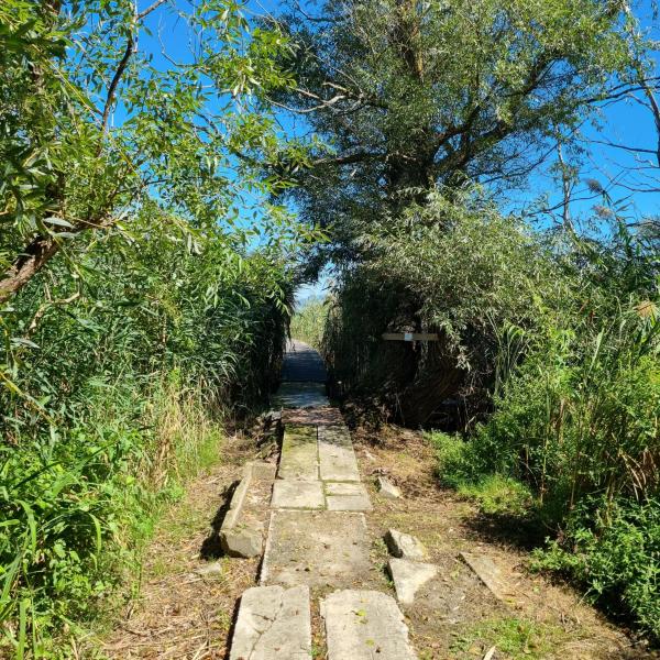 Balatonihaz - Balatonfenyves